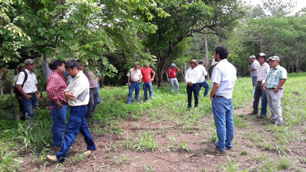 The Restoration Network hosts first fieldtrip to exchange experiences - ICC