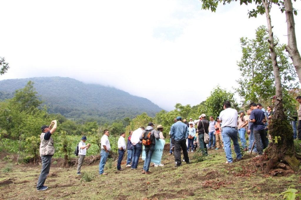 The Ibero American Model Forest Network Visits Projects Supported By