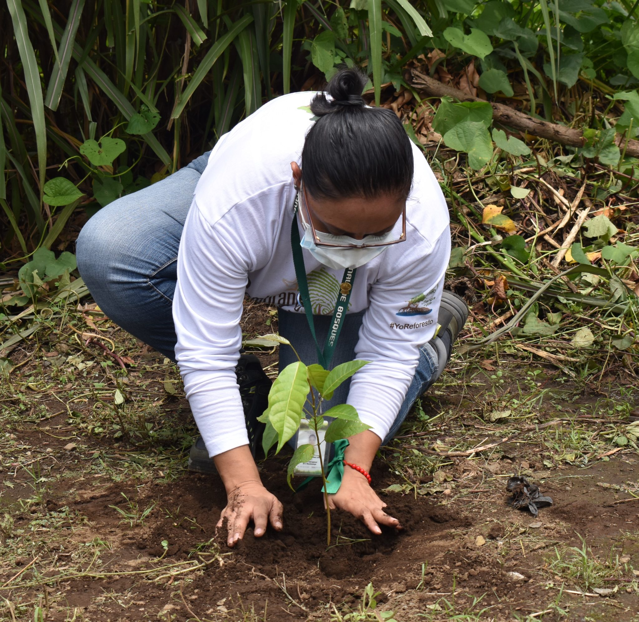 Inauguración de Vivero Forestal Regional "Altos de San Gabriel ...