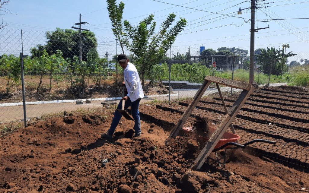 Inician labores en viveros forestales para la temporada 2021 - ICC